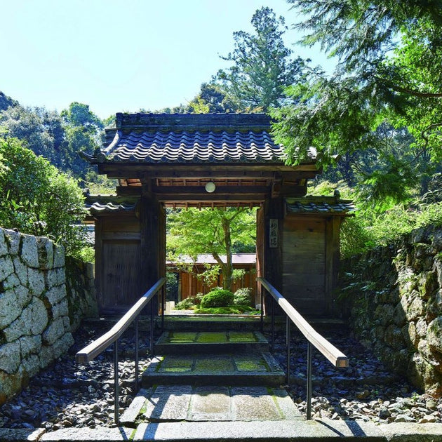 mufg_special – By Emotion